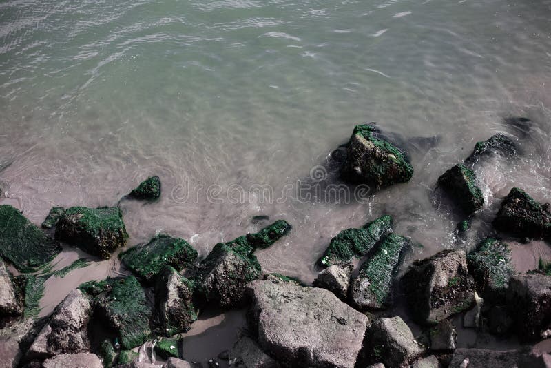 Top View of Different Stones on Sea Shore. Stock Photo - Image of ...