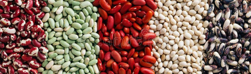 Top View of Diverse Beans Creating a Colorful Pattern Stock Image ...