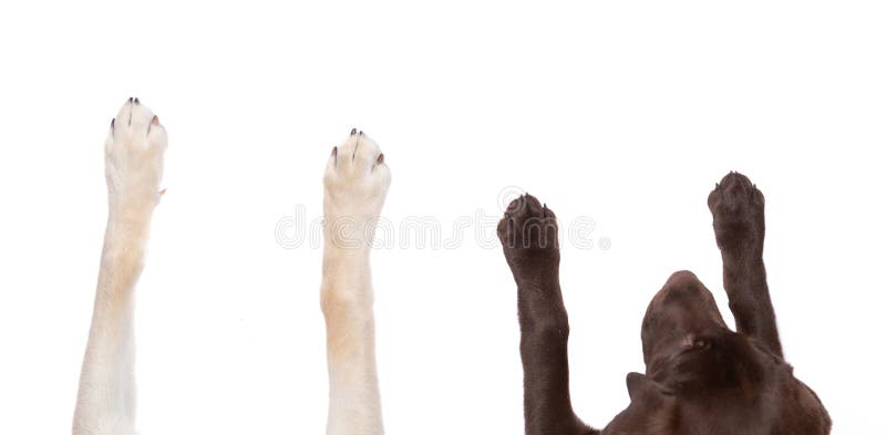 Sprawled Legs Stock Photos - Free & Royalty-Free Stock Photos from ...