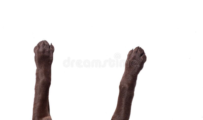 Sprawled Legs Stock Photos - Free & Royalty-Free Stock Photos from ...