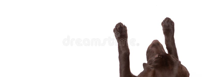 Sprawled Legs Stock Photos - Free & Royalty-Free Stock Photos from ...