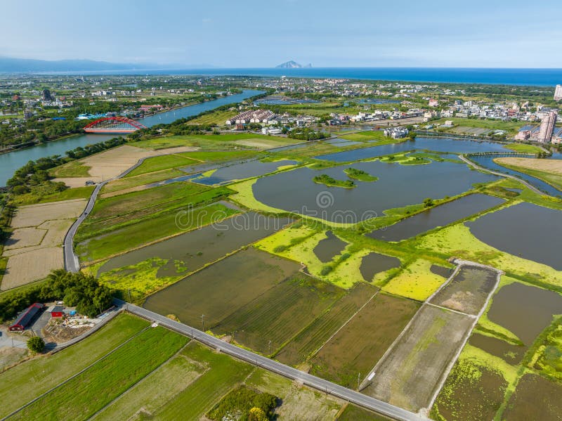 Dongshan Rice Meadow in Yilan of Taiwan Stock Photo - Image of field ...