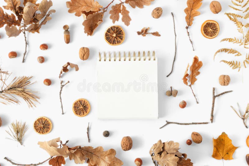 Top View Dried Leaves Notebook Text White Background Autumn Fall Flat ...