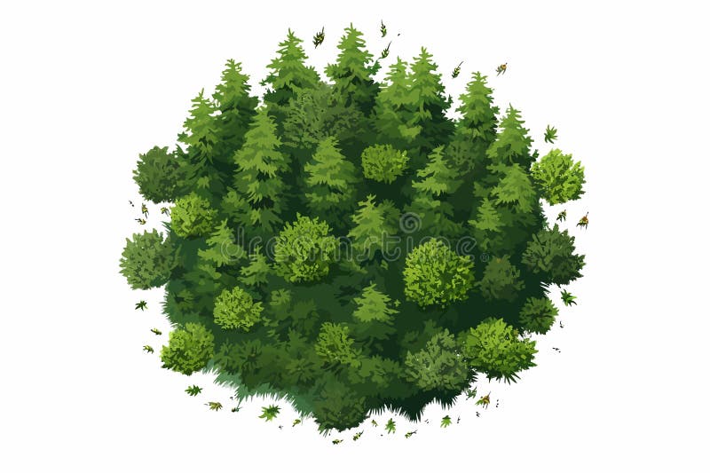 Top View Dron Shot of Forest Vector Flat Isolated Illustration Stock ...