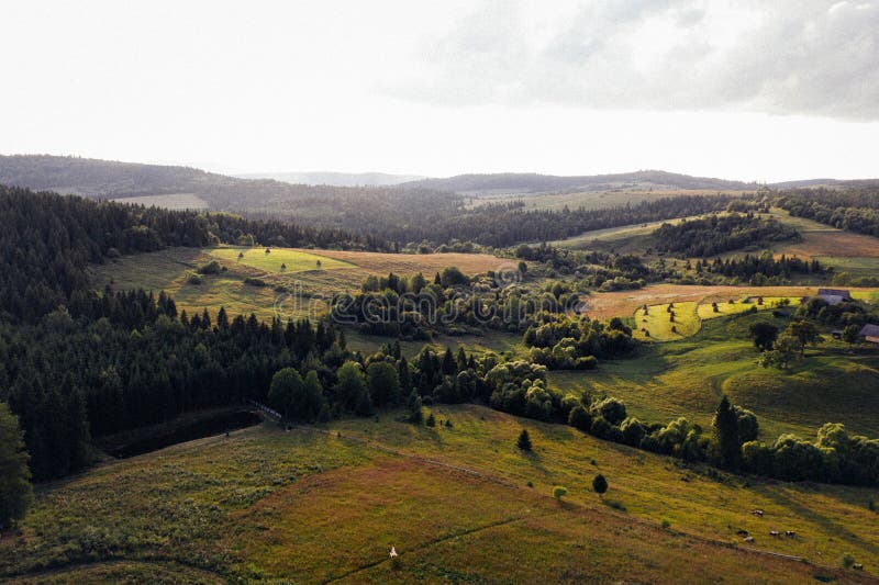 Top View from Drone of the Fields and Meadows. Natural Grass and Trees ...