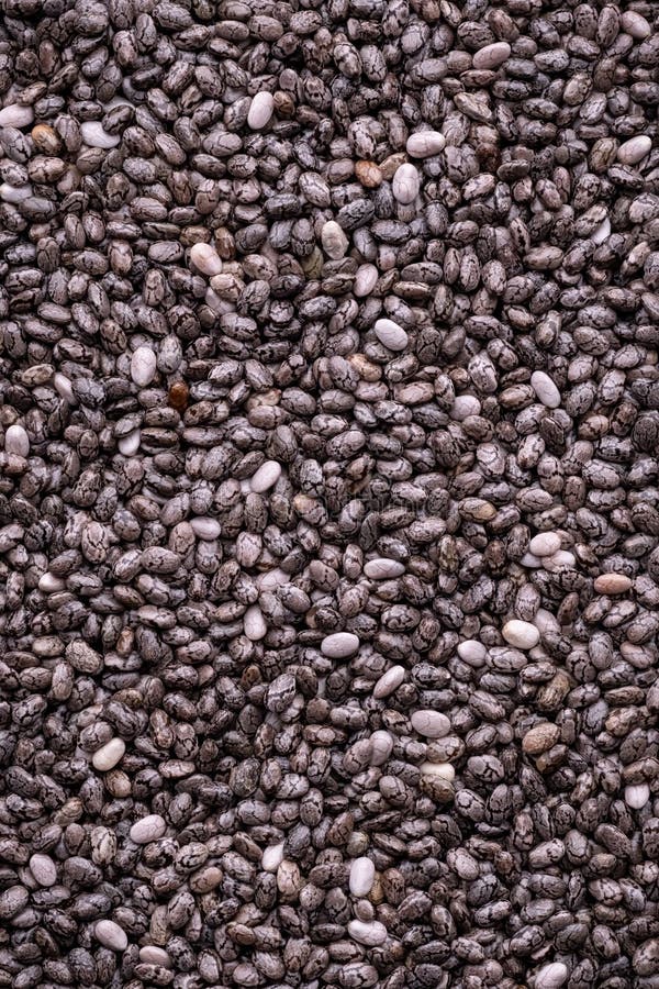 Dry chia seeds stock image. Image of macro, organic - 325237141