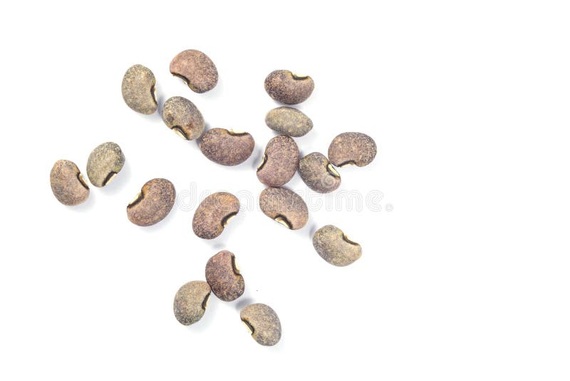 Gray beans stock image. Image of fresh, energy, package - 37162399