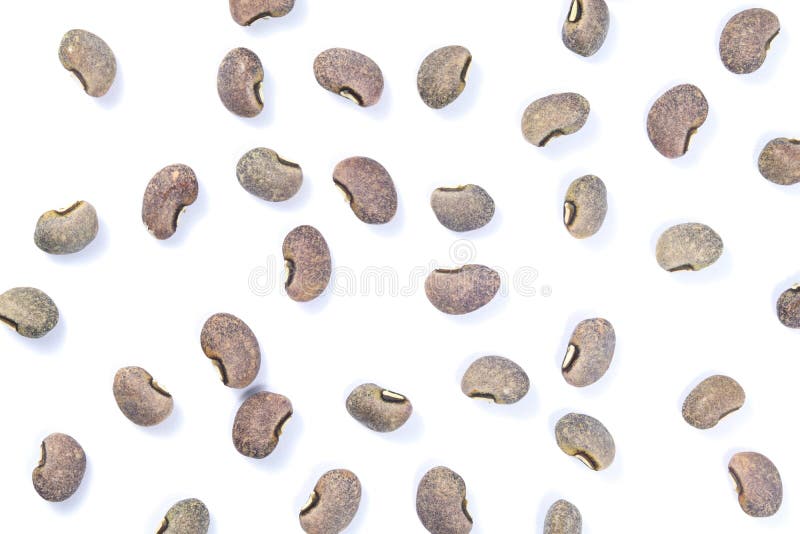 Gray beans stock image. Image of fresh, energy, package - 37162399