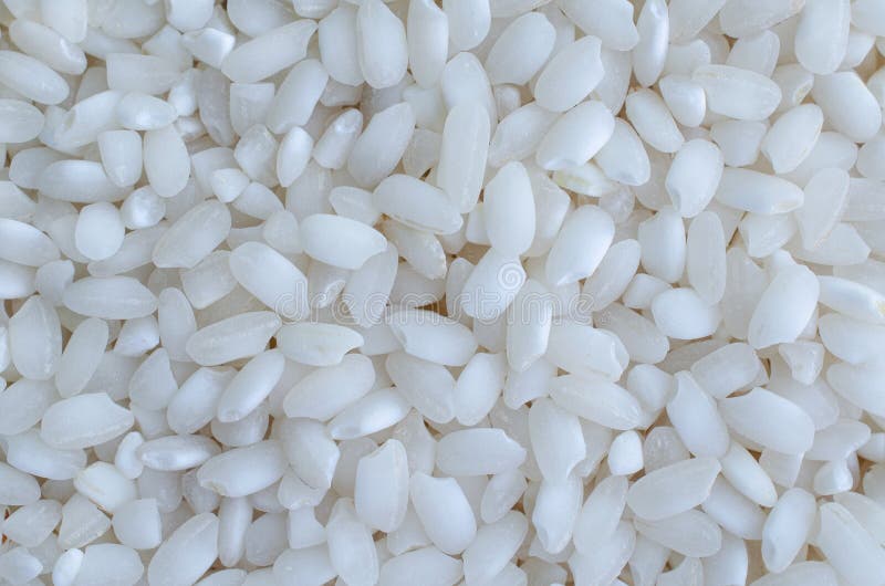 Top View of Dry Organic Japanese Rice Seed Stock Image - Image of ...