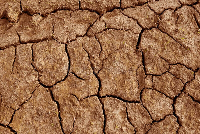 Top View Dry Soil is Rift Close Up Stock Photo - Image of color, grunge ...