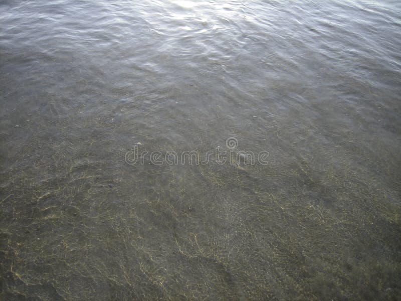 Top View of the Dull Ripples on the Surface of Muddy Water Stock Photo ...