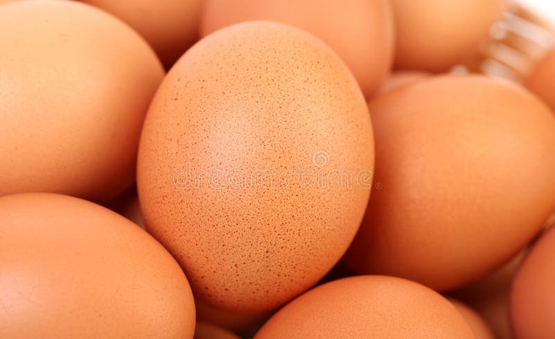 Top view of egg stock photo. Image of healthy, shell - 34749852