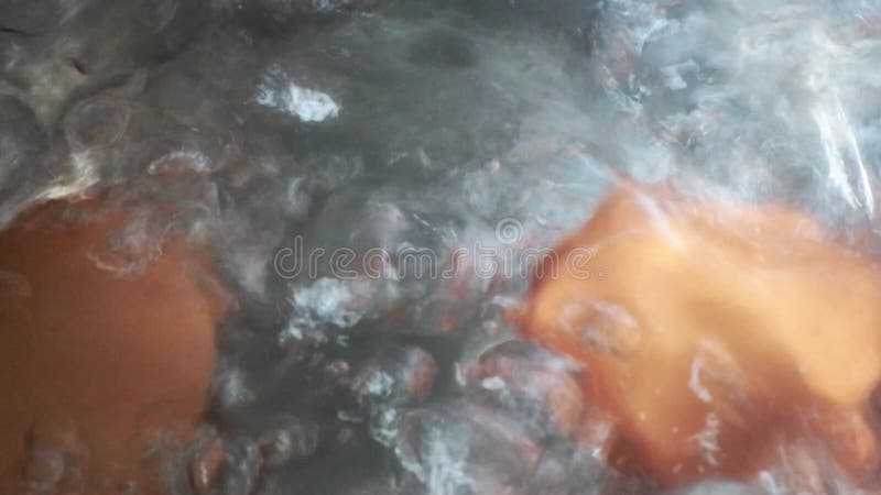 Top View of Eggs Being Cooked in Boiling Water. Stock Video - Video of ...
