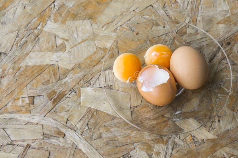 Top View Eggs on a Dish, Boil Egg Stock Image - Image of ecosystem ...