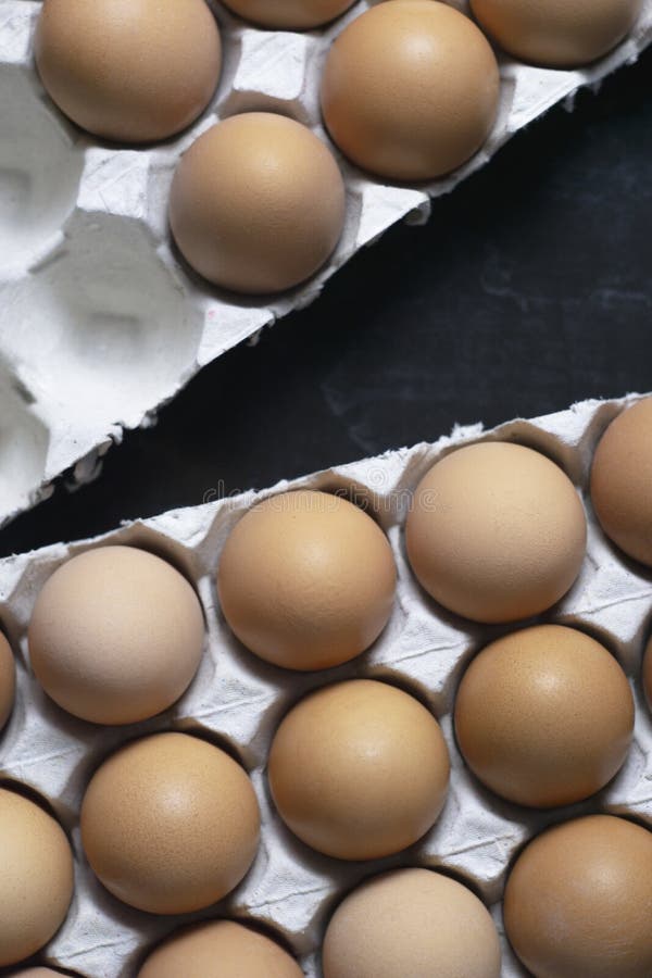 Top View. Eggs in Egg Panel at Separated and Copy Space Stock Photo ...