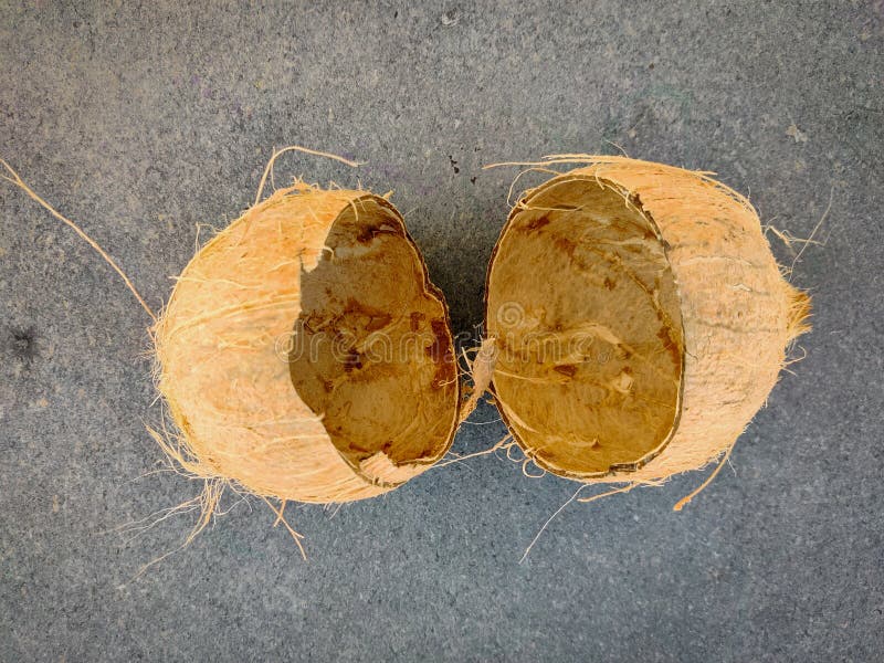 Top View of Empty Coconut Shell Cut in Half Stock Photo - Image of ...