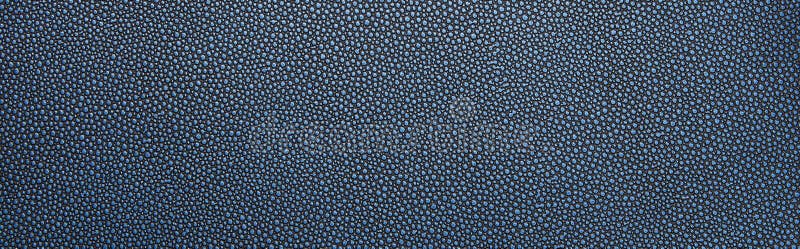 View of Empty Dotted Blue Paper Stock Image - Image of texture ...