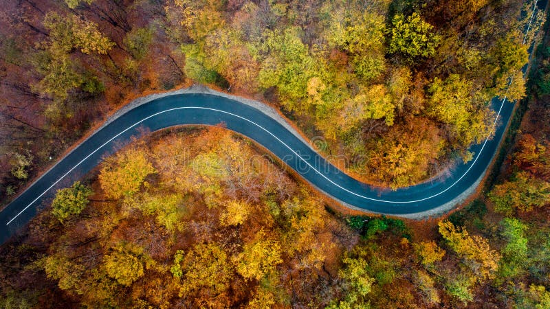 Top View of Empty Forest Road with Autumn Colors Stock Image - Image of ...