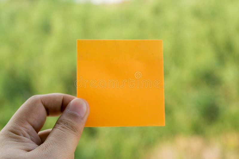 Top view yellow paper stock photo. Image of diary, paper - 140898622
