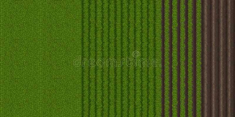 Soil Rice Field Stock Illustrations – 467 Soil Rice Field Stock ...