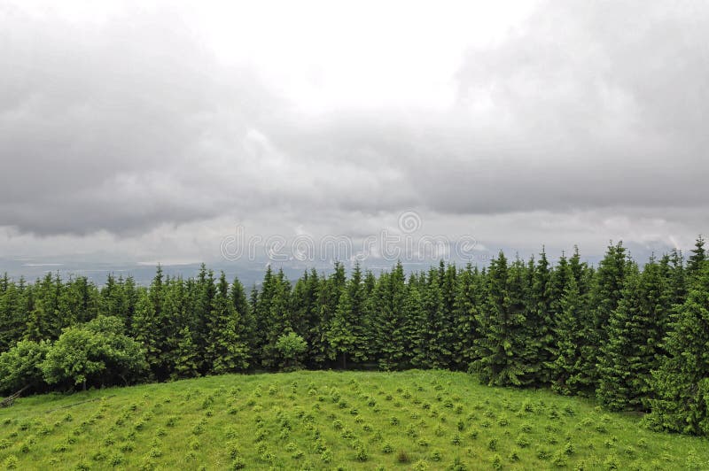 Top View of the Farm Land with Grass Stock Photo - Image of cultivated ...