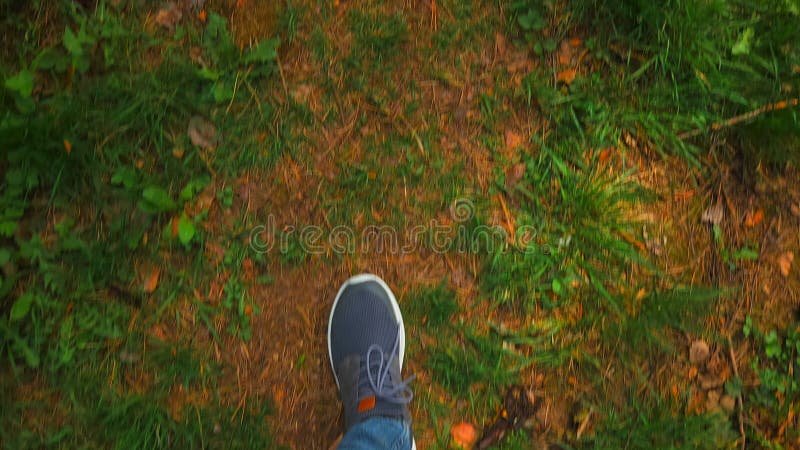 Top View of Feet Walking on Forest Path Stock Footage - Video of ...