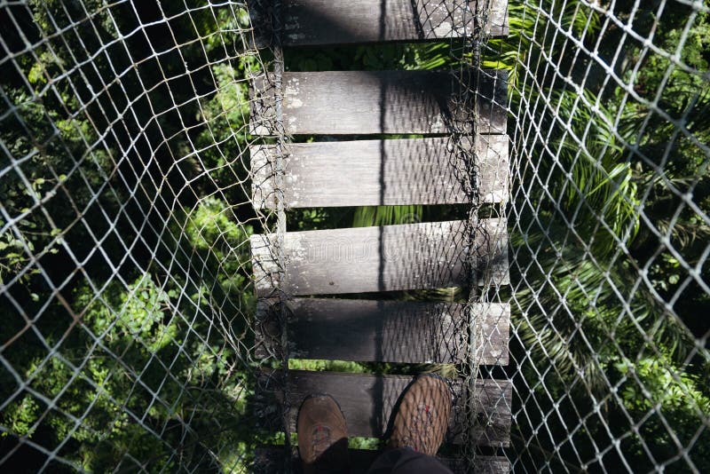 Top View of Feet during a Walk Above the Amazon Rainforest Across a ...