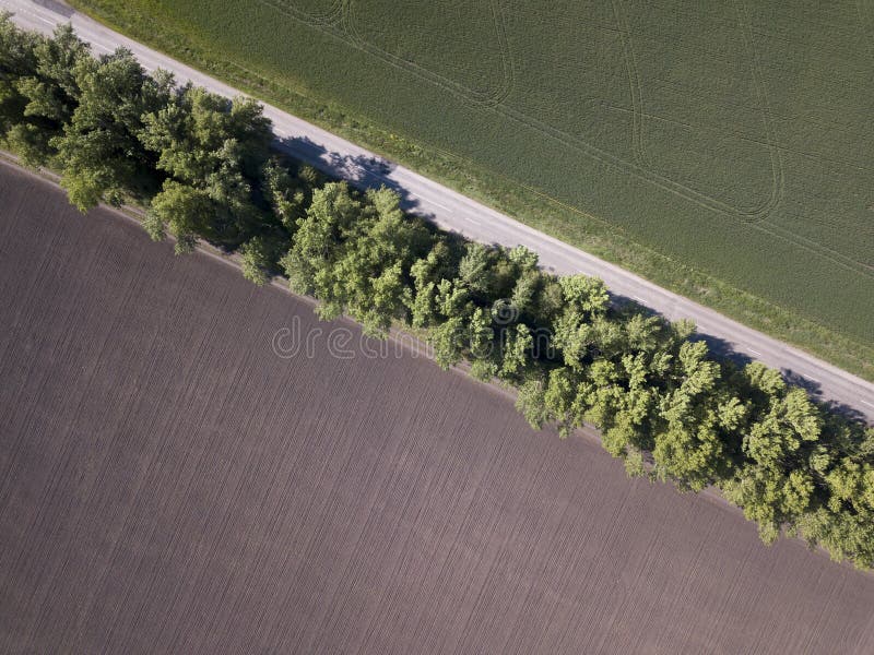 Top View of the Field Road with Car. Aerial Stock Photo - Image of ...