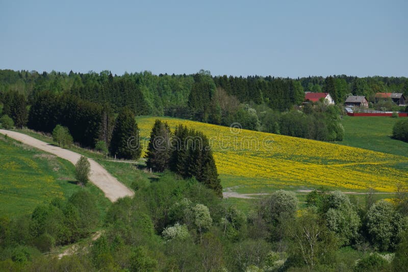 Top View of Fields and Forest .Picture Countryside during the Daytime ...