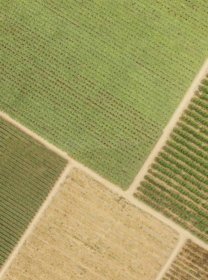 Top View Fields Plantations Stock Photo - Image of farm, texture: 82850024