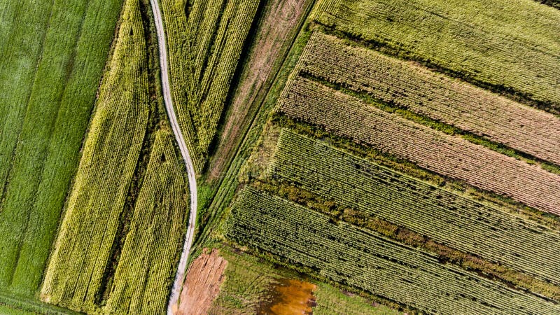 Top view of fields. stock photo. Image of ljubljanica - 100622766