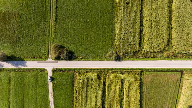 Top view of fields. stock photo. Image of ljubljanica - 100622766