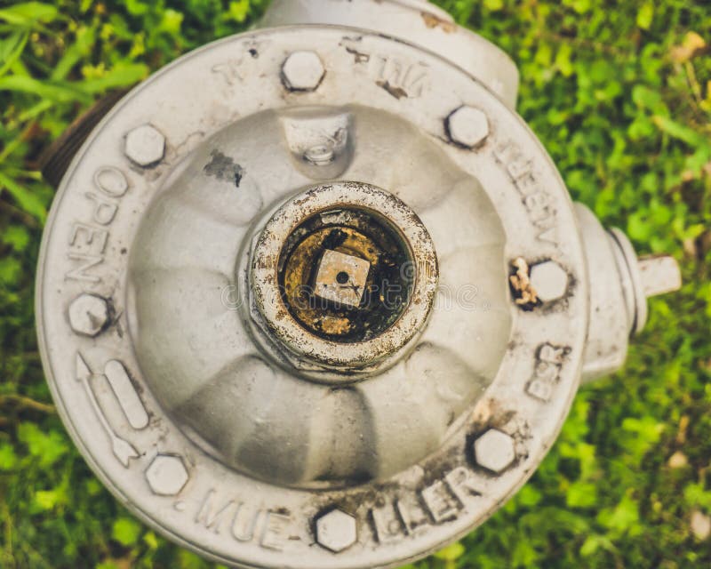 258 Fire Hydrant Yard Stock Photos - Free & Royalty-Free Stock Photos ...