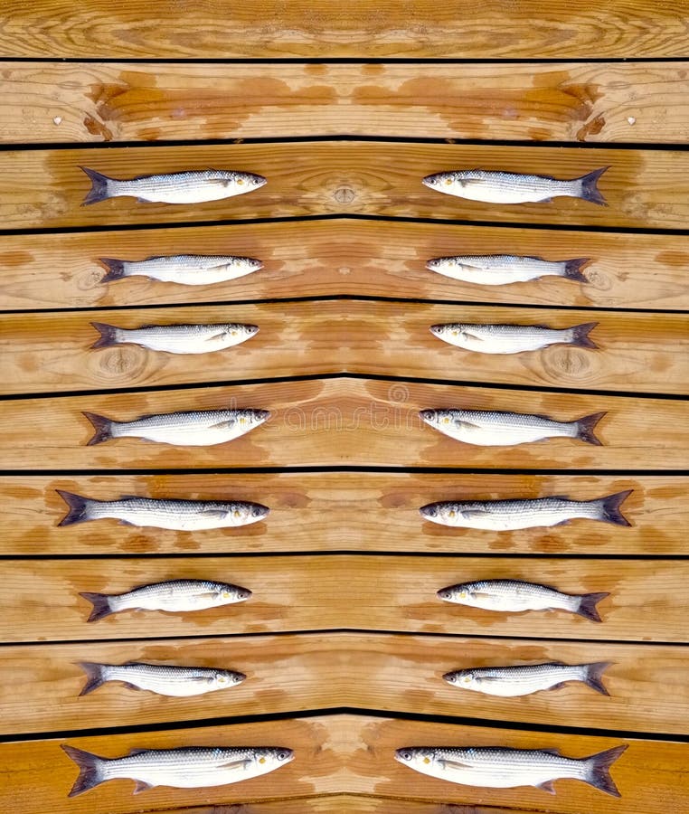 Top View of Fish on a Wooden Surface Stock Photo - Image of closeup ...