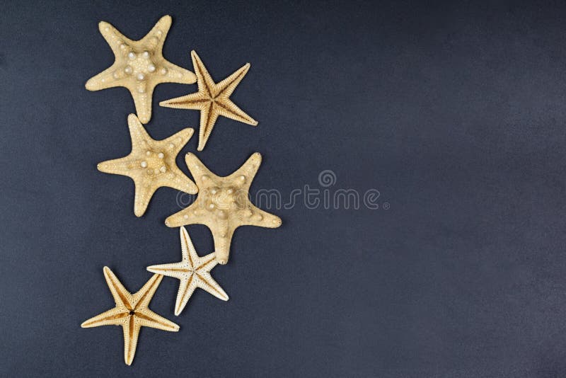 Five Leg Starfish with Legs Curled Stock Photo - Image of gree, fish ...