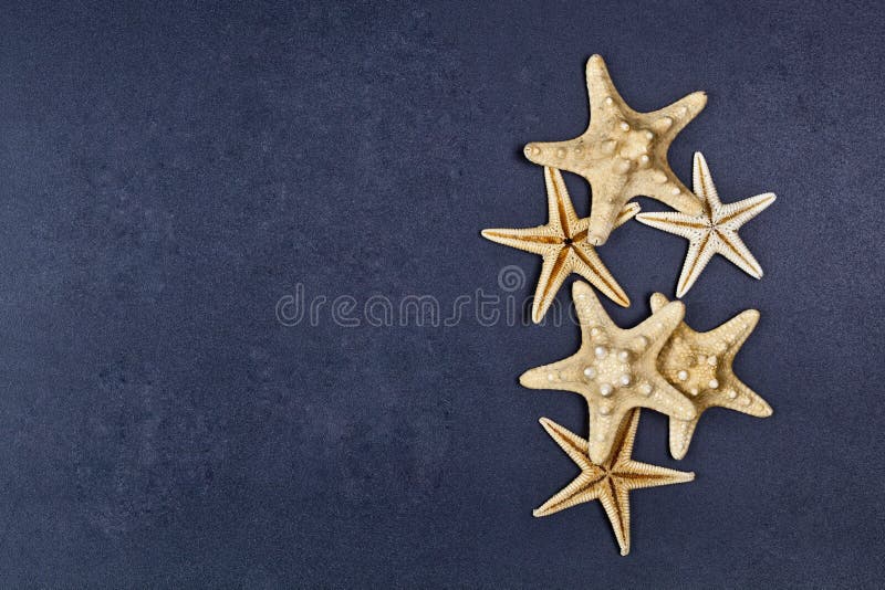 Five Leg Starfish with Legs Curled Stock Photo - Image of gree, fish ...