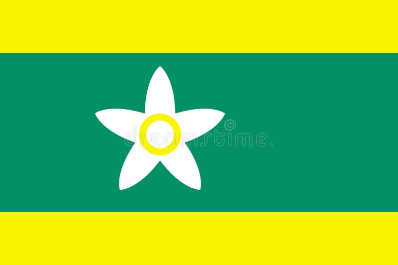 Top View of Flag of Ehime Prefecture, No Flagpole. Plane Design, Layout ...