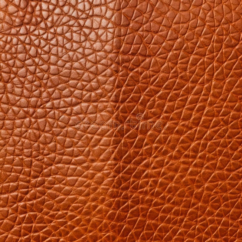 Top View of a Flat Brown Leather Texture Stock Illustration ...