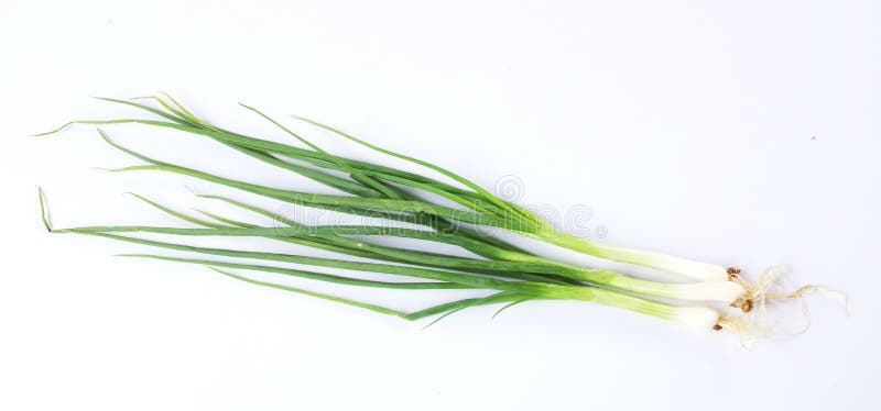 Top View and Flat Lay Fresh Green Onions Isolate on a White Background ...