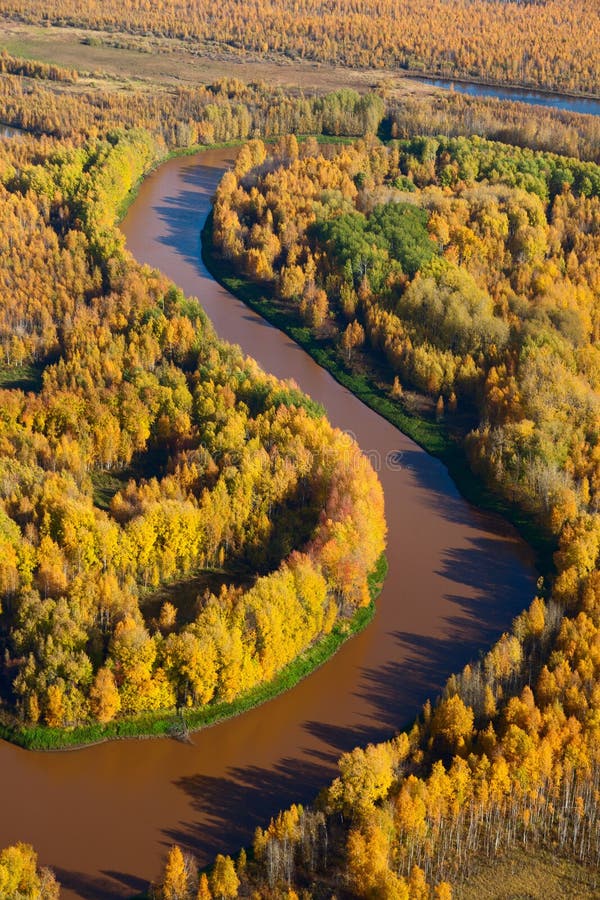 Top View of the Flood-land of River in Autumn Stock Photo - Image of ...