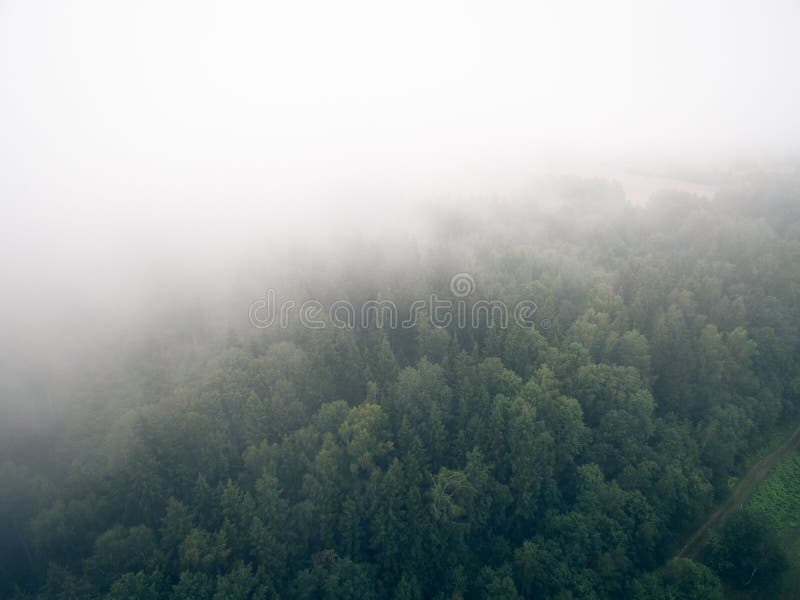 Top View of the Fog Over the Forest Stock Image - Image of outdoor ...
