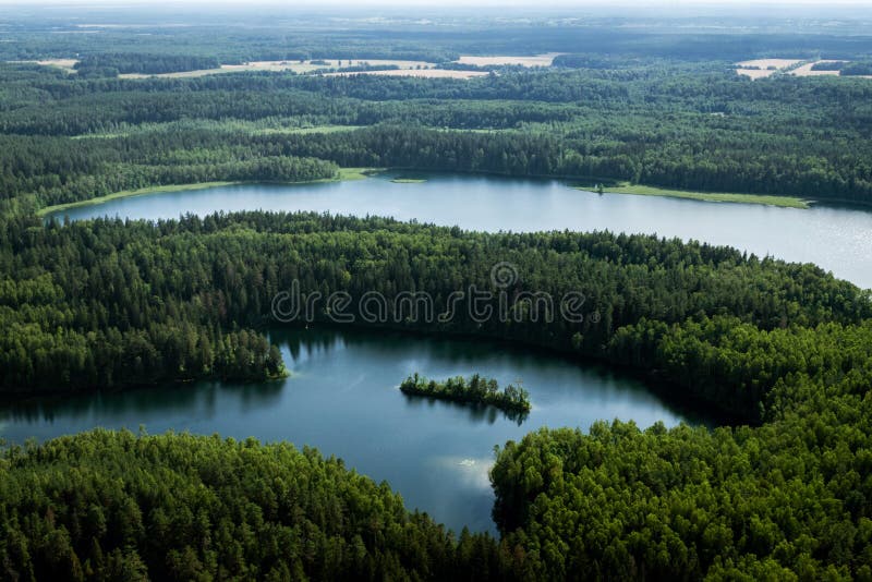Top view of a forest lake stock photo. Image of view - 206469208