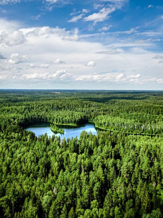 Top view of a forest lake. stock photo. Image of animal - 206566596