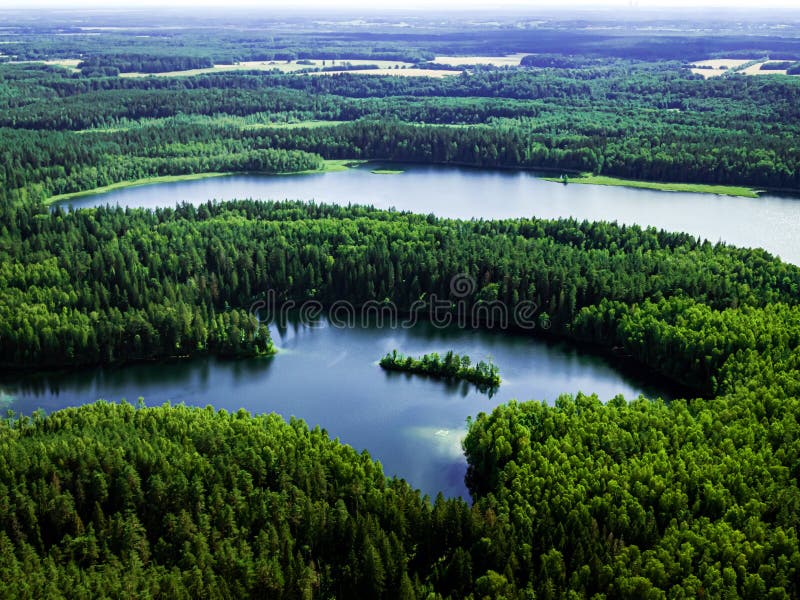 Top view of a forest lake. stock image. Image of aerial - 206566633