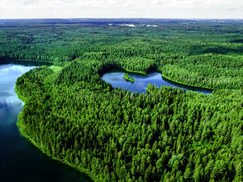 Top view of a forest lake. stock image. Image of nature - 206566673