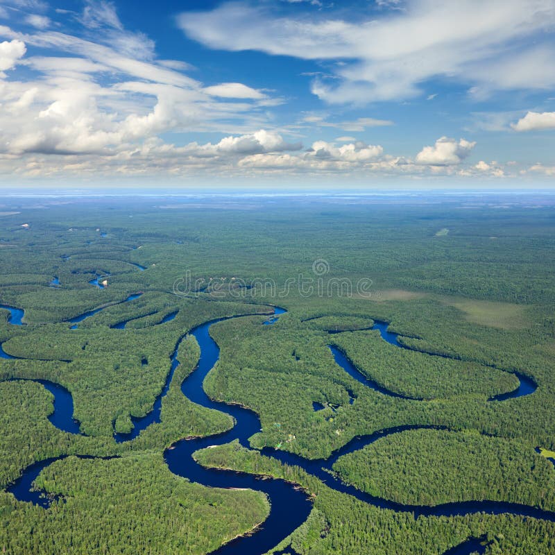 Top view of forest river stock photo. Image of land, scenic - 30299456