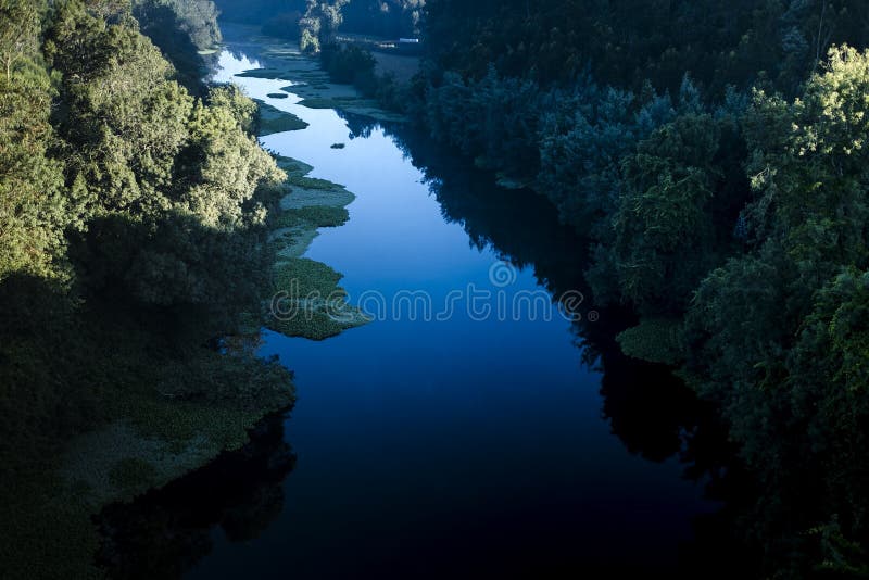 Top View of a Forest River in Northern Portugal. Stock Photo - Image of ...