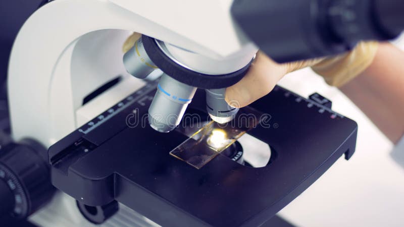 Top View of a Four-ocular Microscope during Working Process Stock Video ...