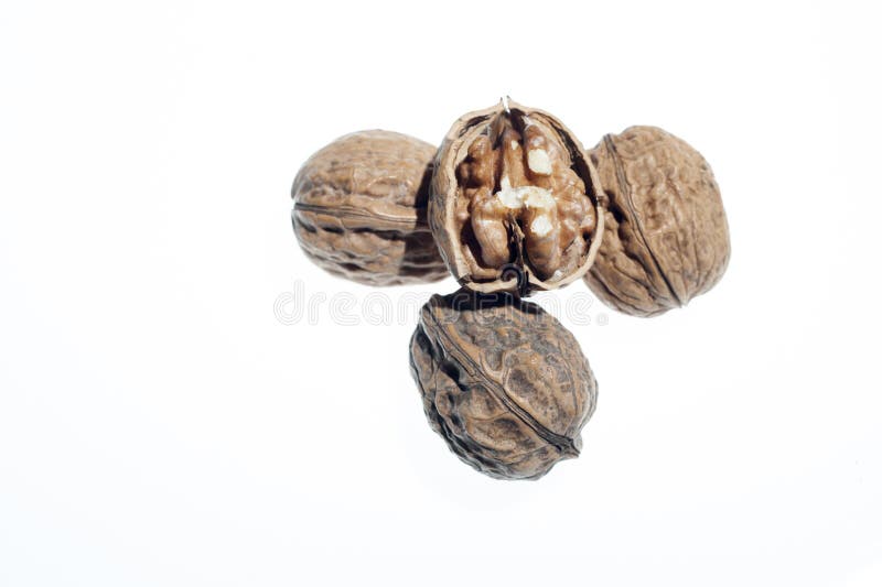 Top View of Four Walnuts or Parts of Walnut Shells. Grouped and Forming ...