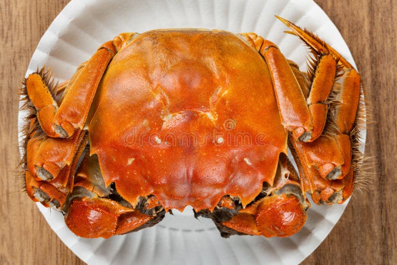 Top View Fresh Cooked Crab Horizontal Composition Stock Photo - Image ...